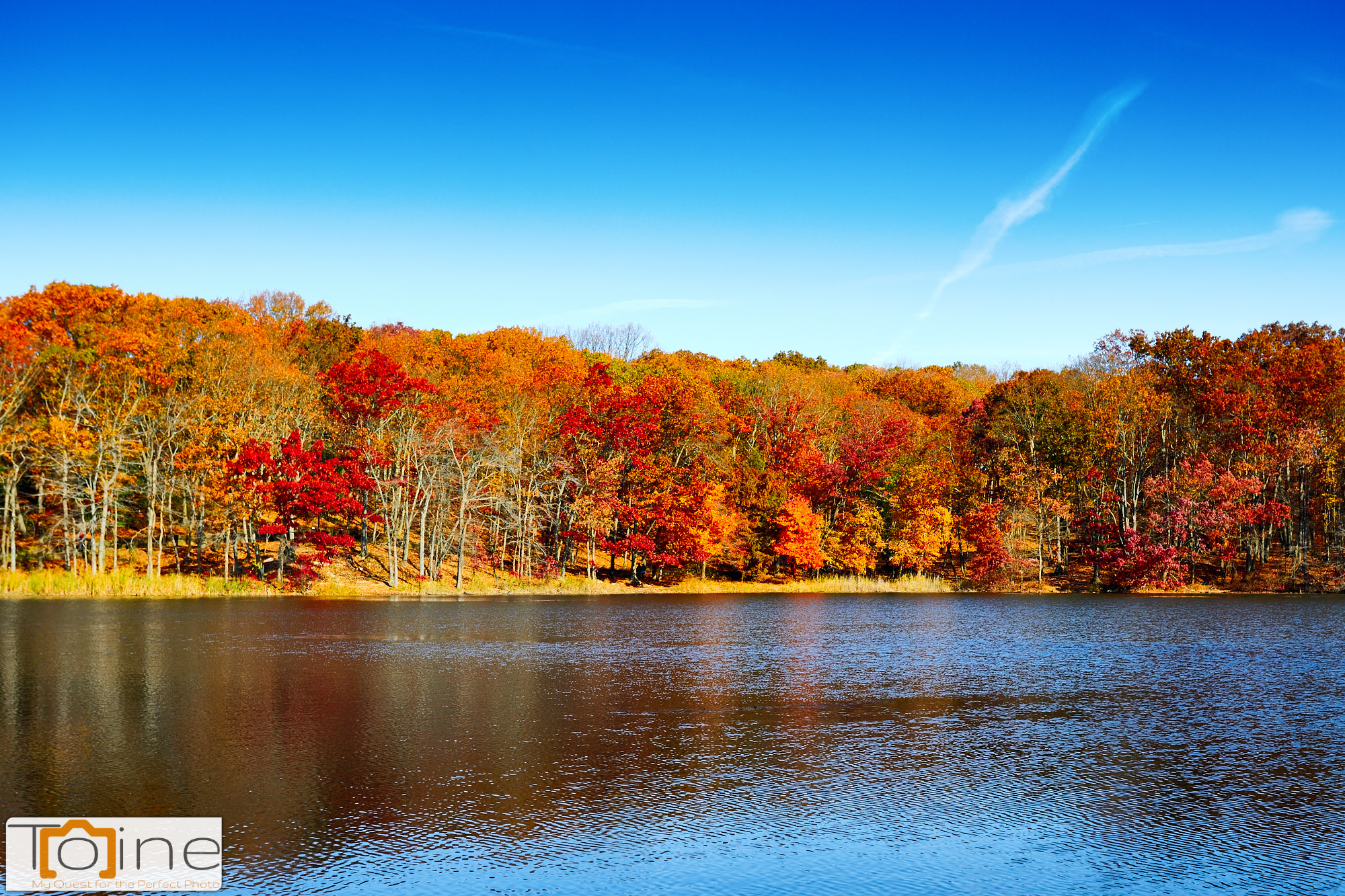 Cheesequake State Park and Longstreet Farm – Photography by Toine: My ...